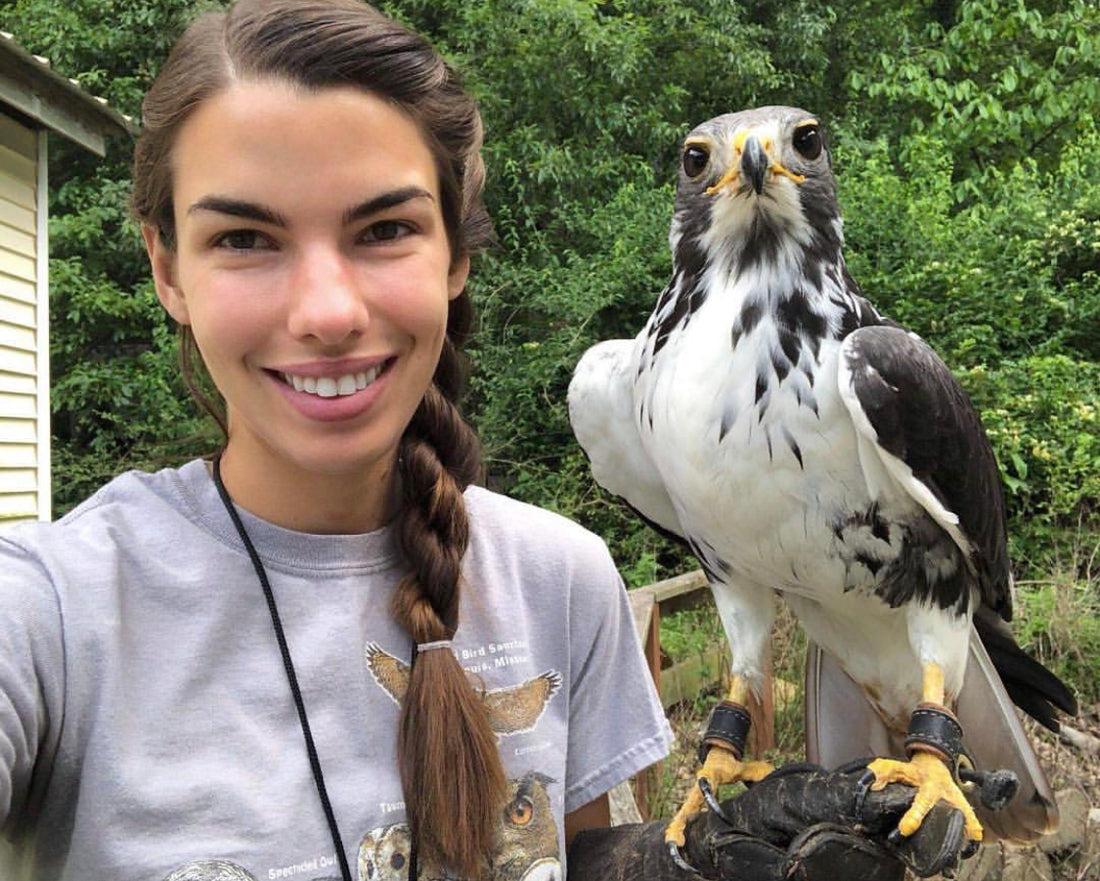 Quincy, the Augur Buzzard Wearing our Bespoke Anklets – Ashley Clarke
